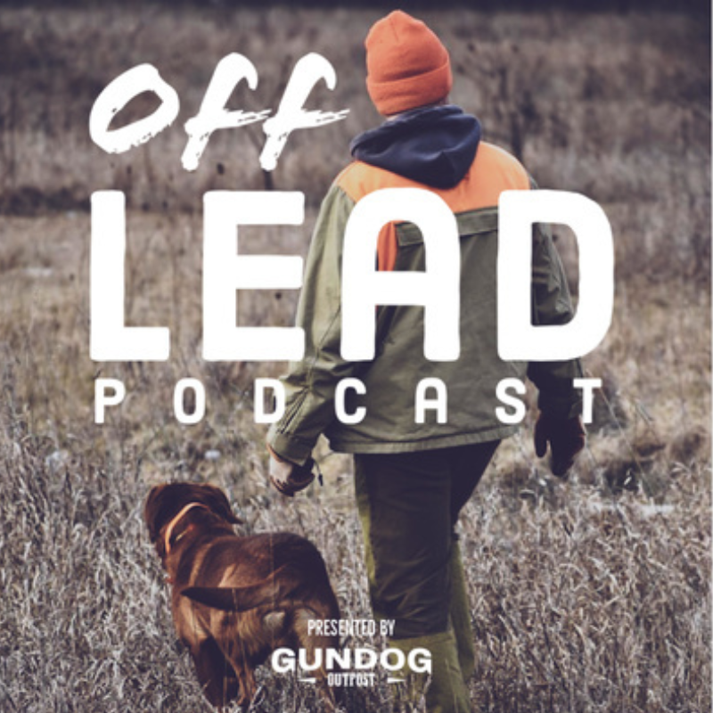 Articles & Features - Bayou Gundog - John McCarter